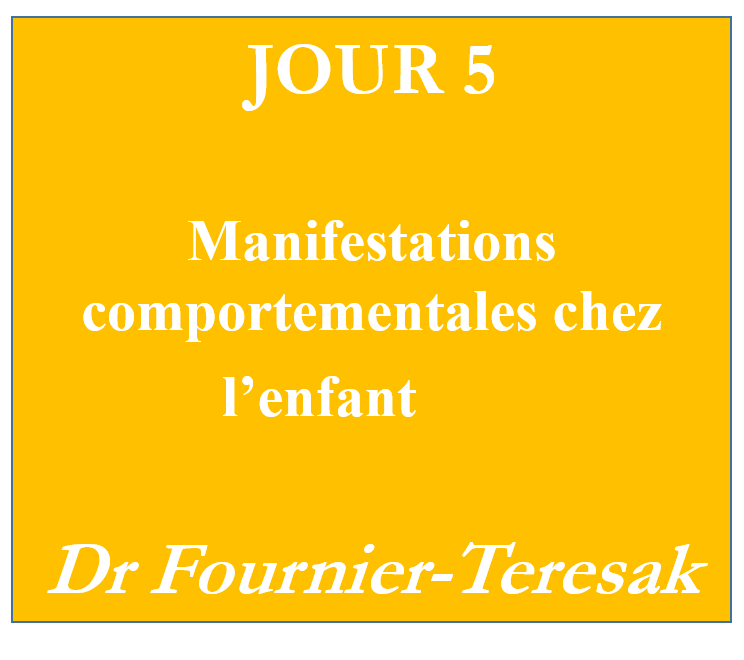 fournier-2023 – SDEI 15